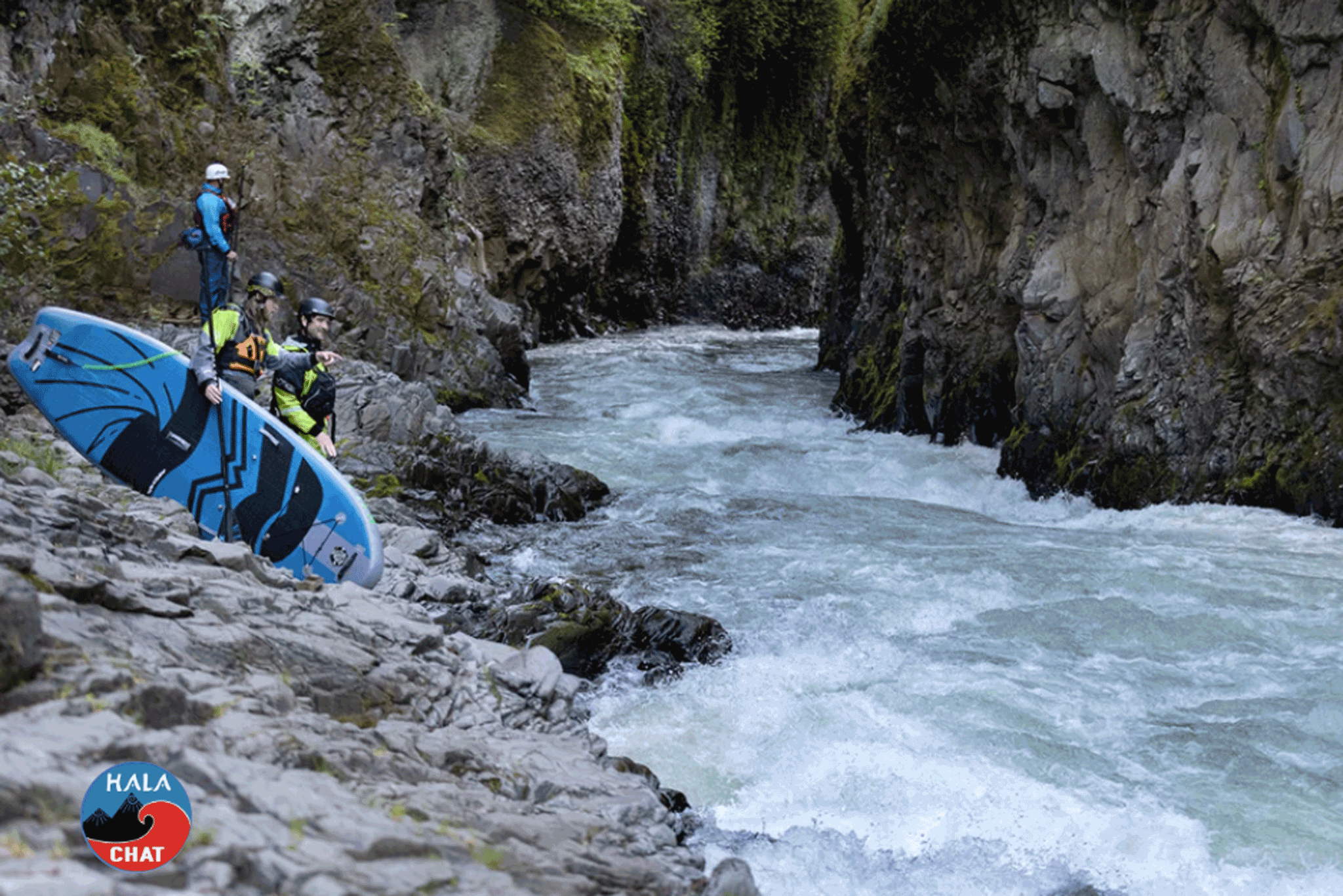 Hala Gear – OMTC